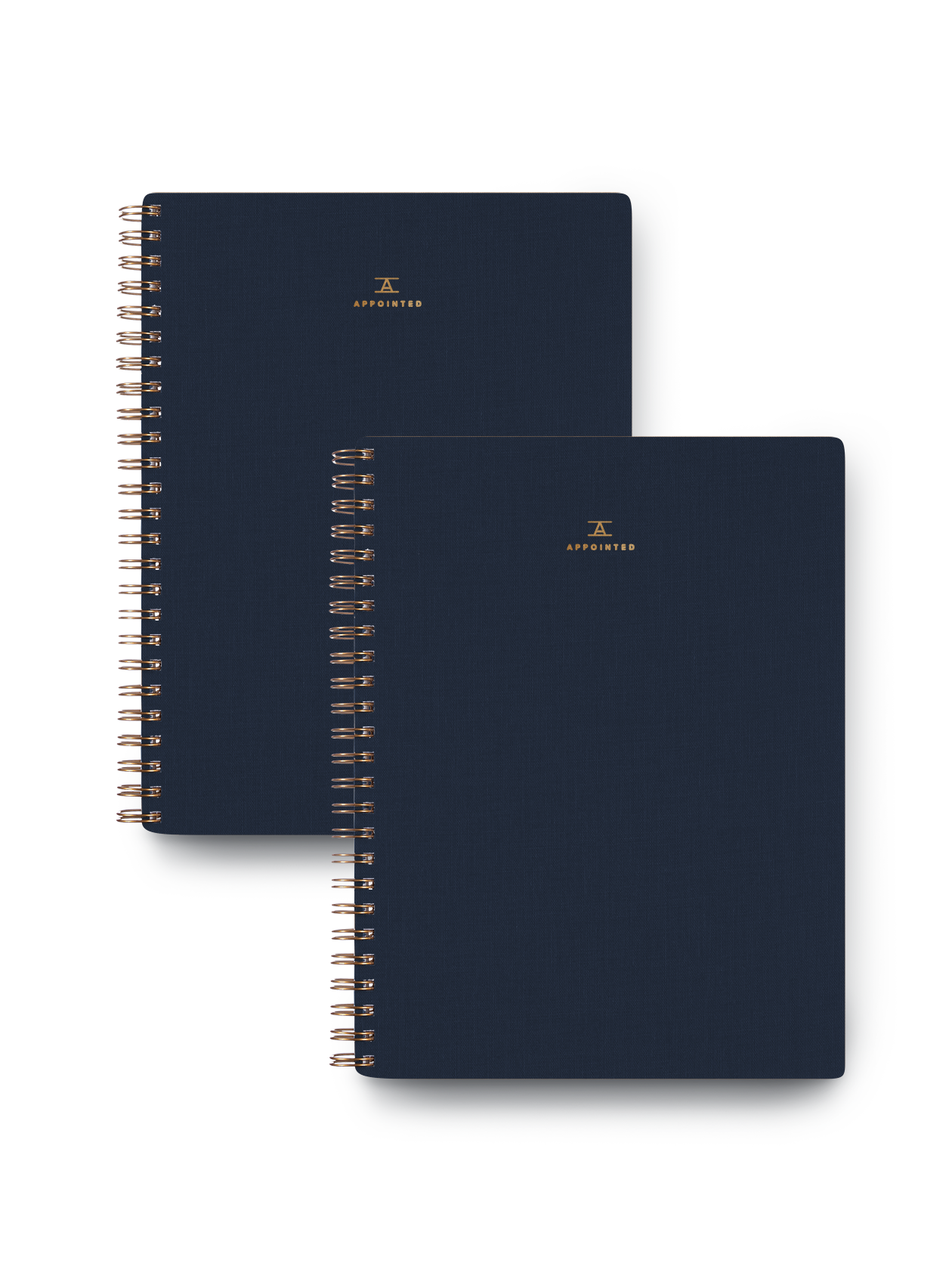 The Workbook Subscription - Subscribe & Save - Free U.S. Shipping ...